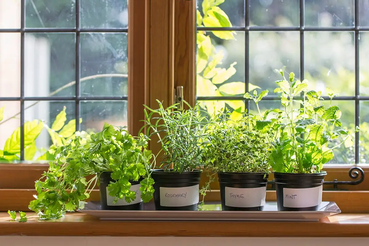 15 Garden Window Ideas to Brighten Your Home [2026]